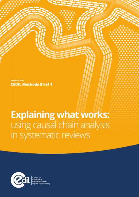 Explaining what works: using causal chain analysis in systematic reviews | EvalForEarth